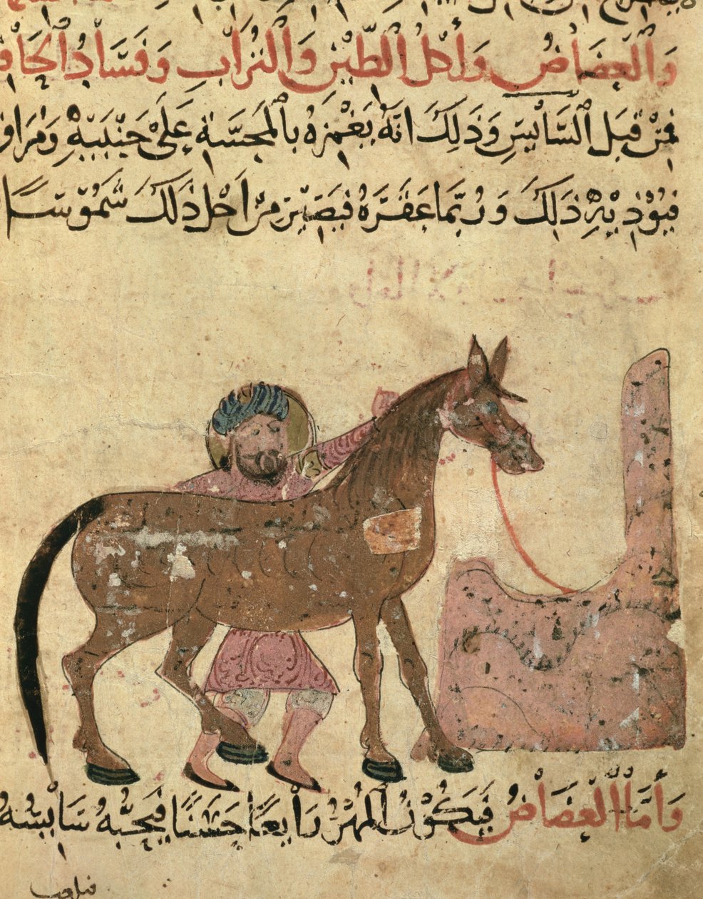 Caring for the horse, illustration from the 'Book of Farriery' by Ahmed ibn al-Husayn ibn al ...